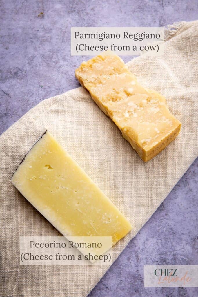 Authentic And Classic Carbonara Pasta With No Cream